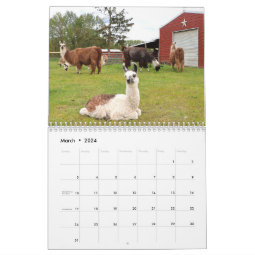 American Llama Magazine 2023 Calendar | Zazzle