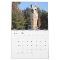 American Llama Magazine 2023 Calendar | Zazzle