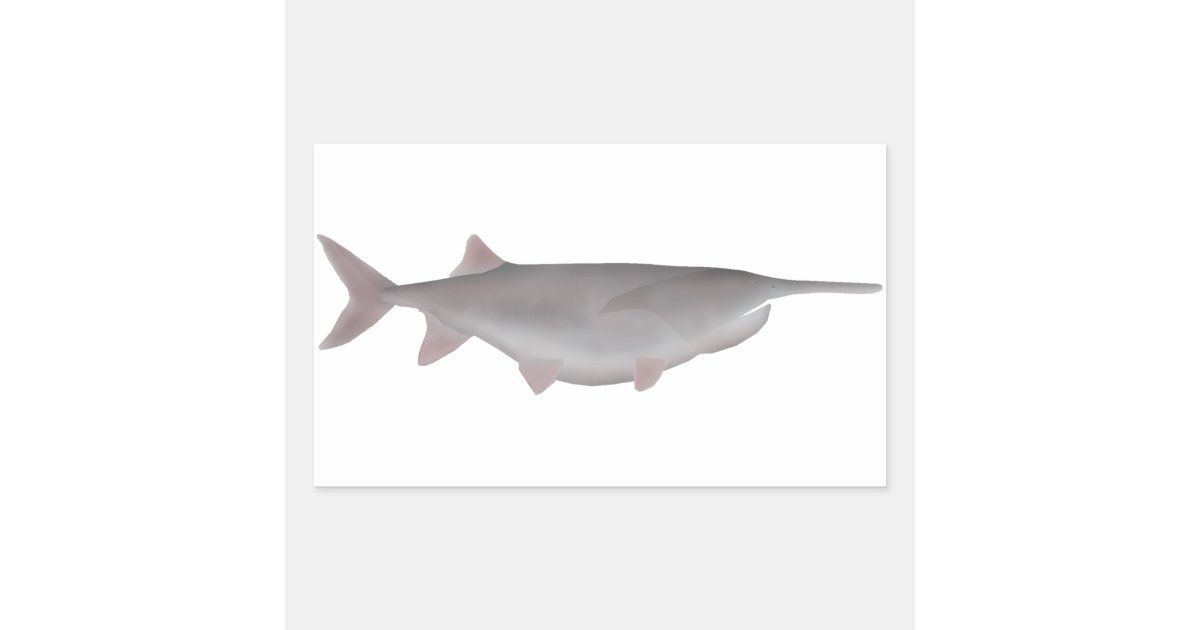 American Paddlefish Rectangular Sticker | Zazzle
