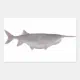 American Paddlefish Rectangular Sticker | Zazzle