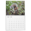 American Red Squirrels and Eastern Gray Squirrels Calendar | Zazzle
