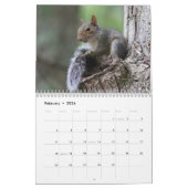 American Red Squirrels and Eastern Gray Squirrels Calendar | Zazzle