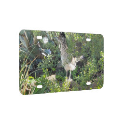 American Roadrunner in the Arizona Desert License Plate | Zazzle