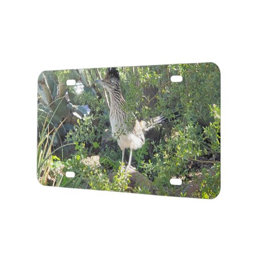 American Roadrunner in the Arizona Desert License Plate | Zazzle