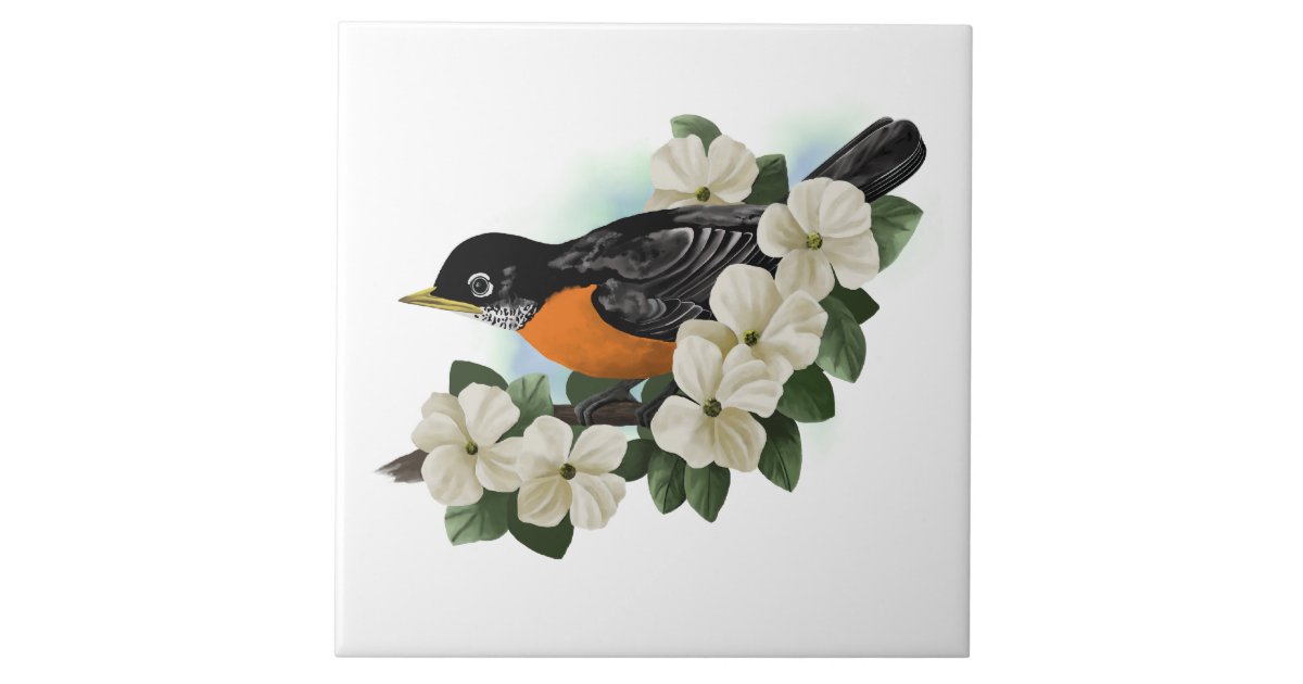 American Robin Bird Ceramic Tile | Zazzle