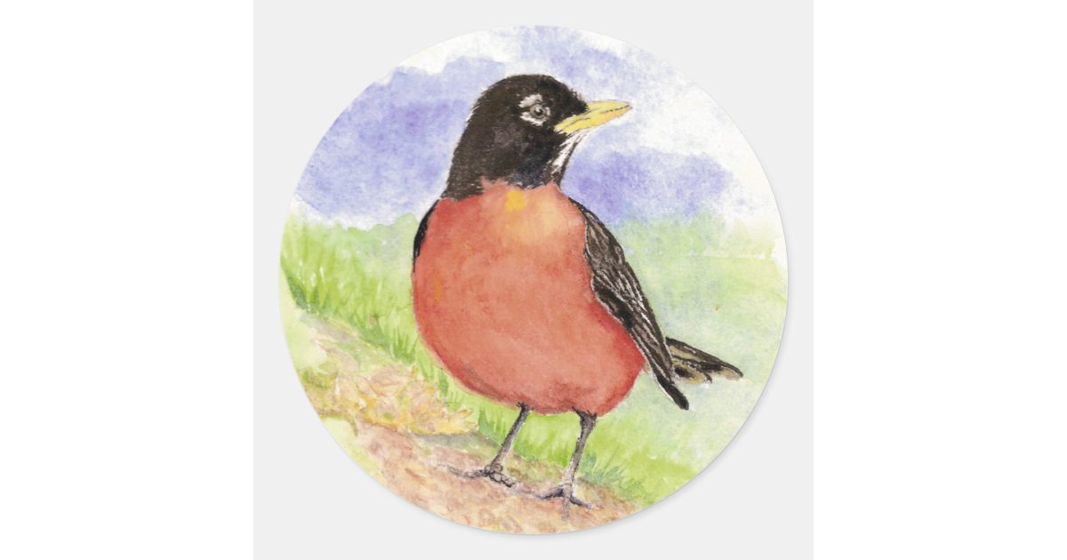 American Robin, Bird, Nature, Wildlife, Classic Round Sticker | Zazzle