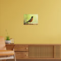 American Robin Photo Poster | Zazzle