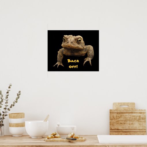 American Toad Poster | Zazzle