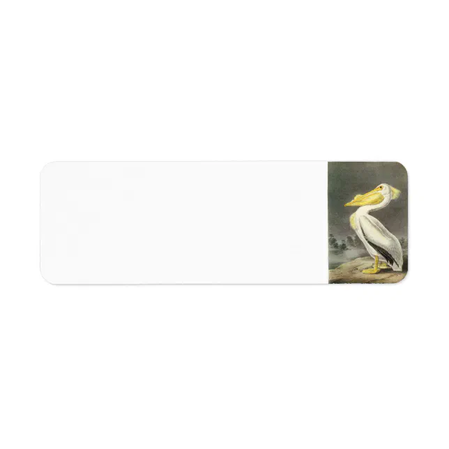 American White Pelican by Audubon Label | Zazzle