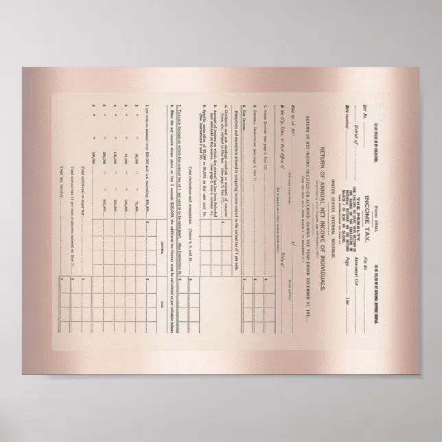 America's First Income Tax Form 1040 Rose Gold Poster | Zazzle