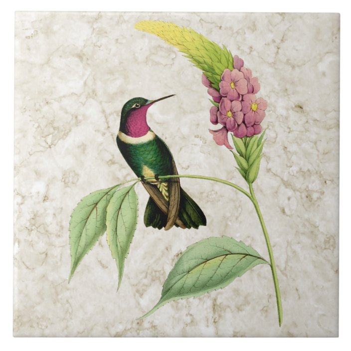 Amethyst Throated Hummingbird Ceramic Tile | Zazzle.com