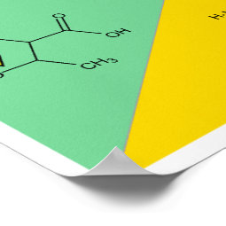 Amino Acid Chemical Molecule Identification Chart | Zazzle