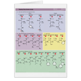 Amino Acid Cards | Zazzle