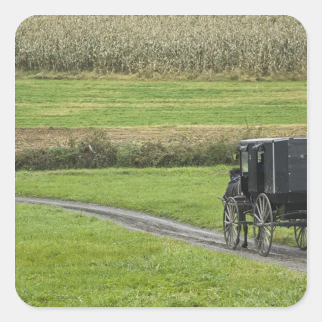 Amish buggy on farm lane, Northeastern Ohio, Square Sticker | Zazzle