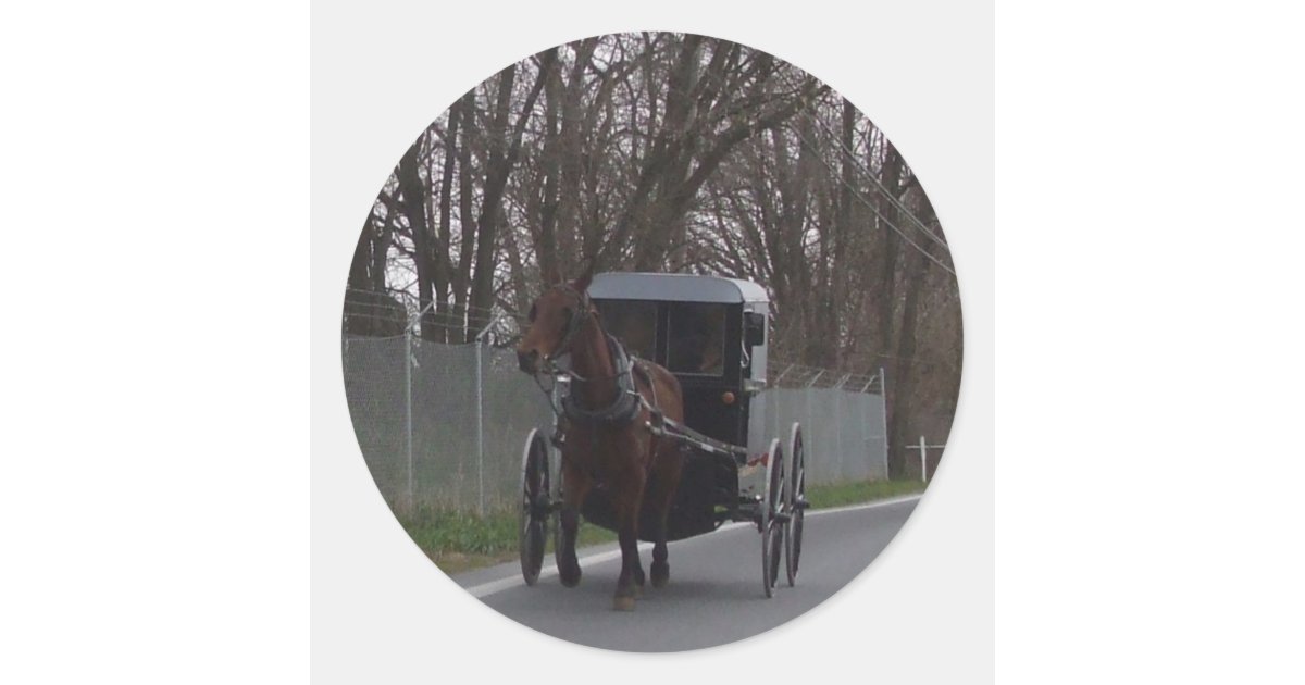 Amish Buggy Sticker | Zazzle