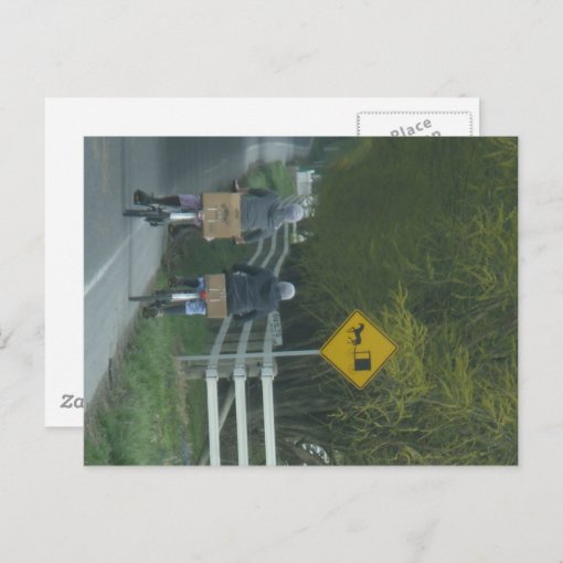 Amish Community Postcard | Zazzle