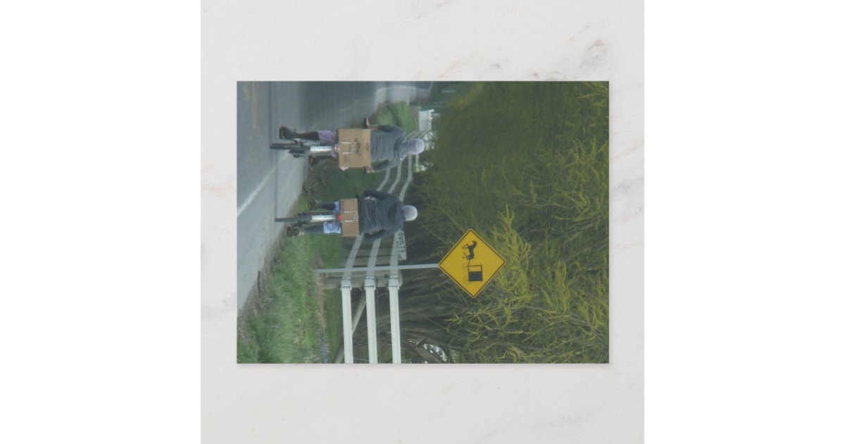 Amish Community Postcard | Zazzle
