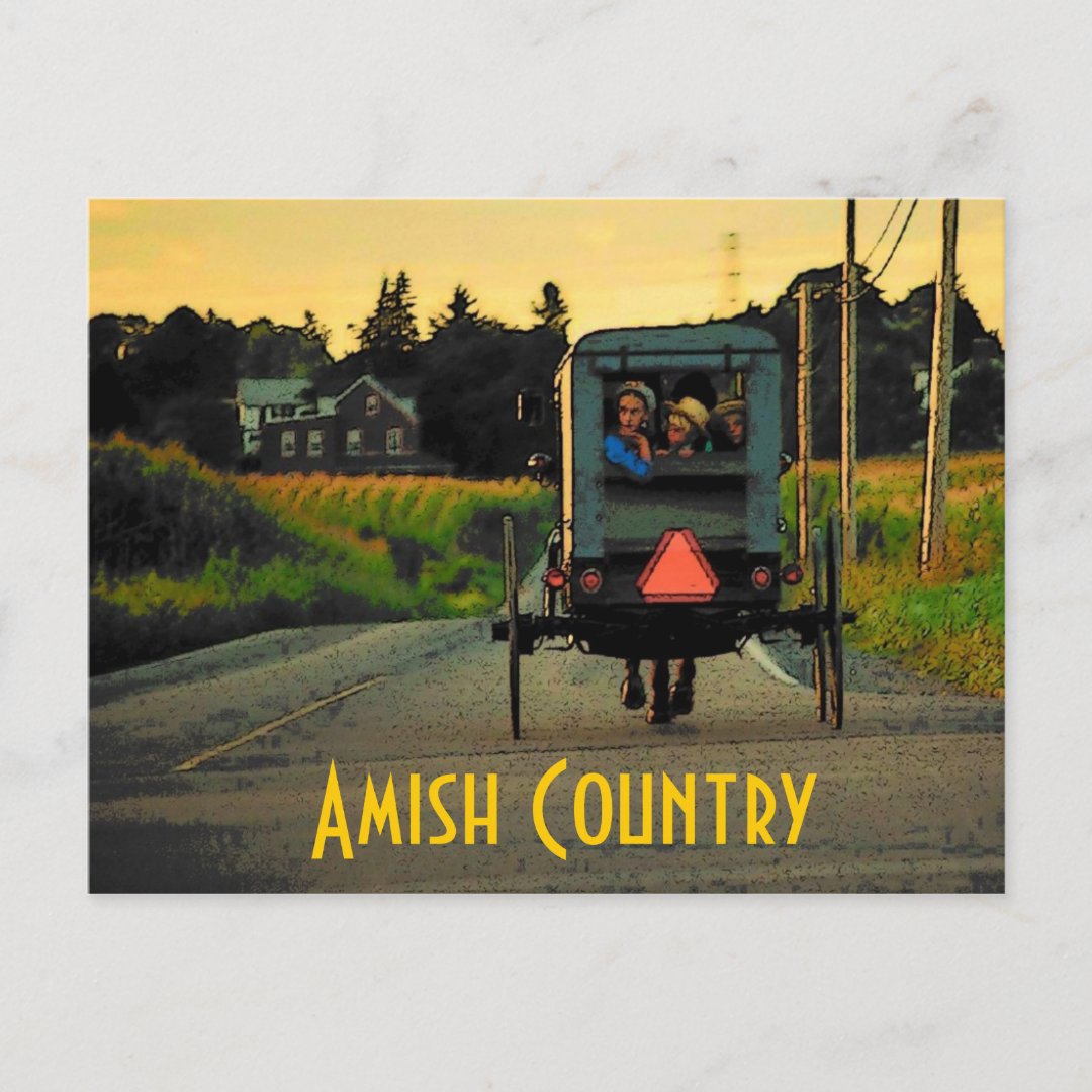 Amish Country Postcard | Zazzle