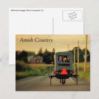Amish Country Postcard | Zazzle