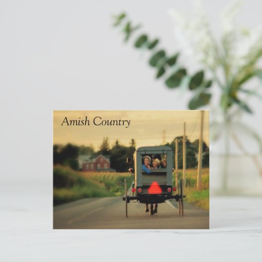 Amish Country Postcard | Zazzle