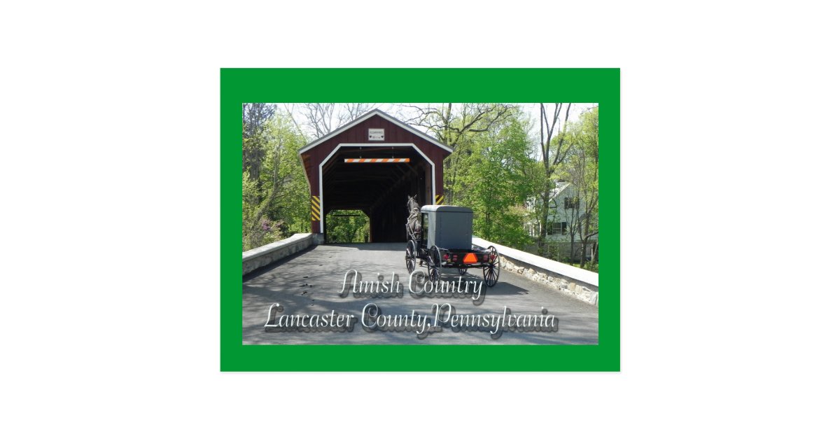 Amish Country _ Postcard | Zazzle.com
