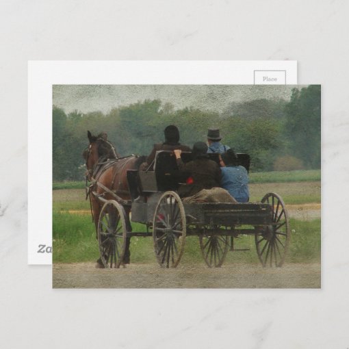 Amish Family Outing Postcard | Zazzle