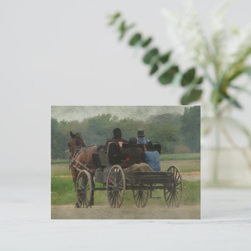 Amish Family Outing Postcard | Zazzle