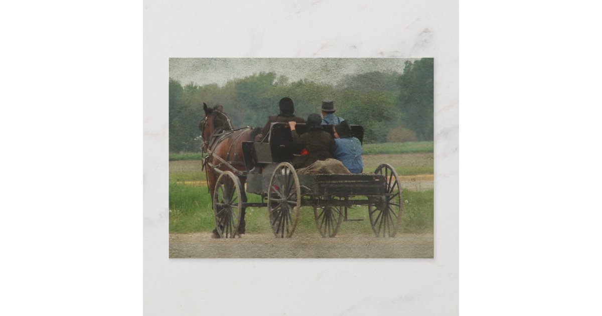 Amish Family Outing Postcard | Zazzle