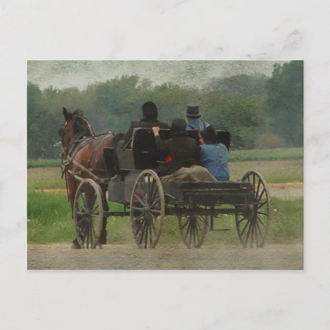 Amish Family Outing Postcard | Zazzle