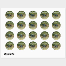 Amish Horse & Buggy Sticker | Zazzle