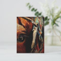 Amish Horse Eye Postcard | Zazzle