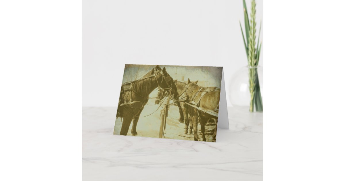 Amish Horses, Birthday Card | Zazzle