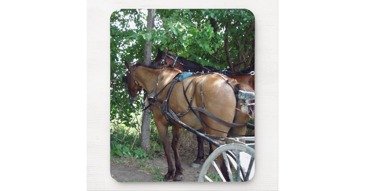 Amish Horses Mouse Pad | Zazzle