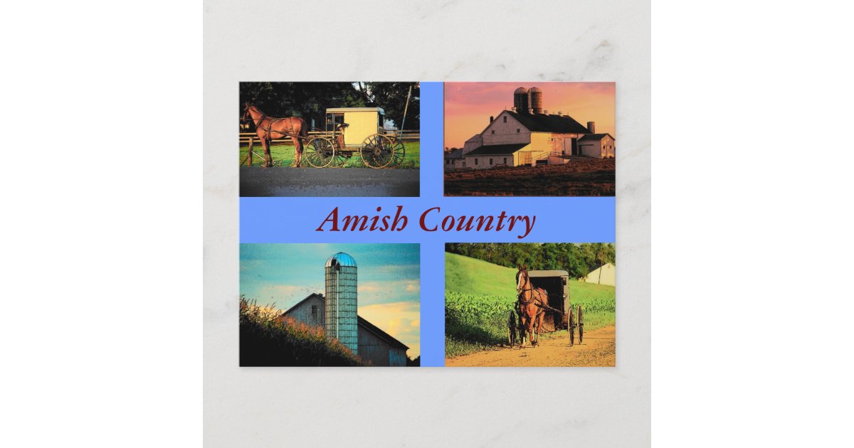 Amish Montage Postcard | Zazzle