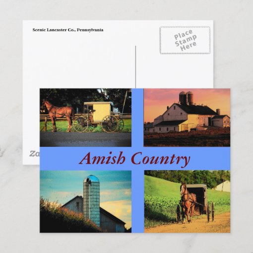 Amish Montage Postcard | Zazzle