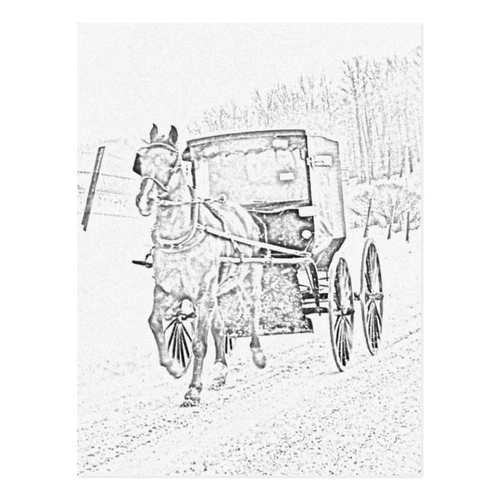 Amish Sketch-Horse and Buggy-Postcard Postcard | Zazzle.com