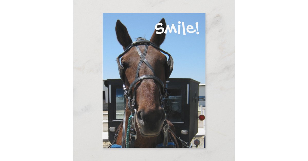 Amish Smile! Postcard | Zazzle