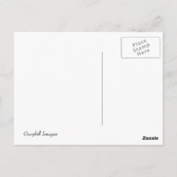 Amish Team at Hitching Post Postcard | Zazzle