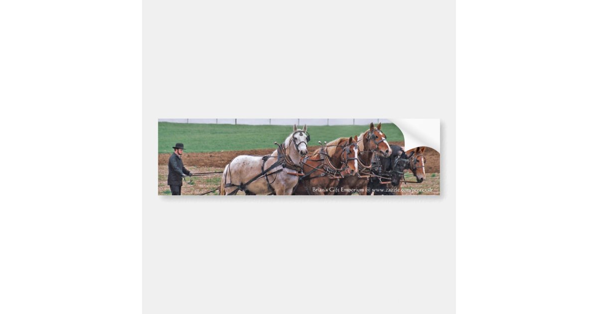 Amish Team Bumper Sticker | Zazzle