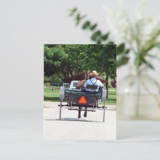 Amish Travel Postcard | Zazzle