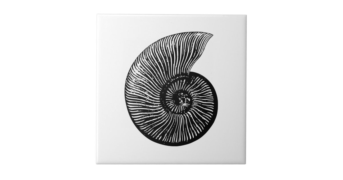 Ammonite Fossil Ceramic Tile | Zazzle