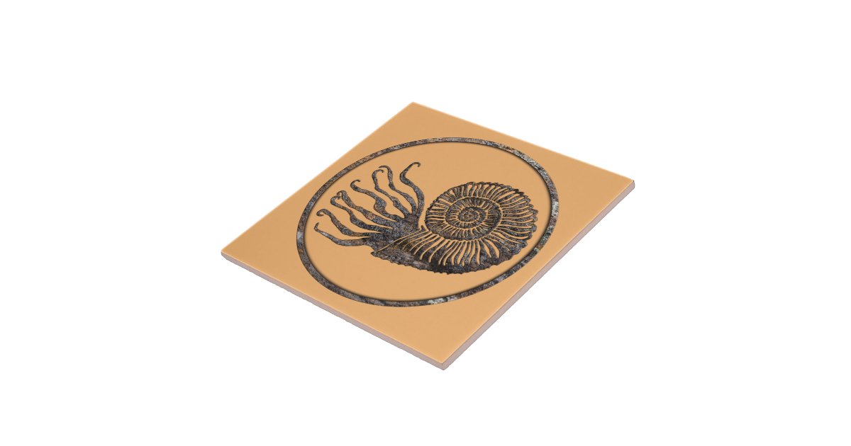 Ammonite Fossil Ceramic Tile | Zazzle