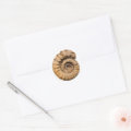 Ammonite Fossil Classic Round Sticker | Zazzle