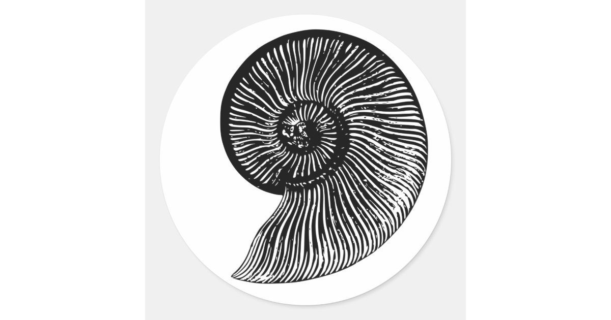 Ammonite Fossil Classic Round Sticker | Zazzle