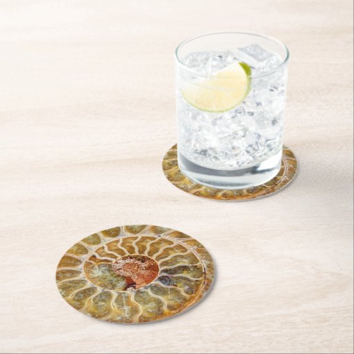 Ammonite Fossil Coaster | Zazzle