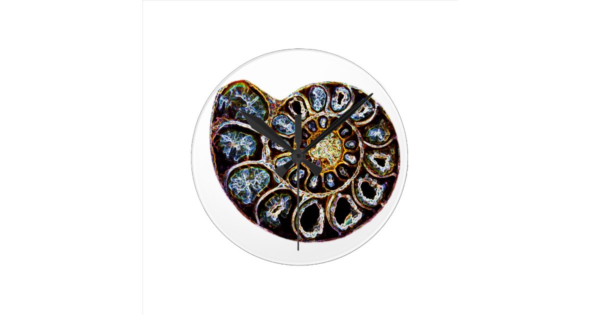 Ammonite Round Clock | Zazzle.com