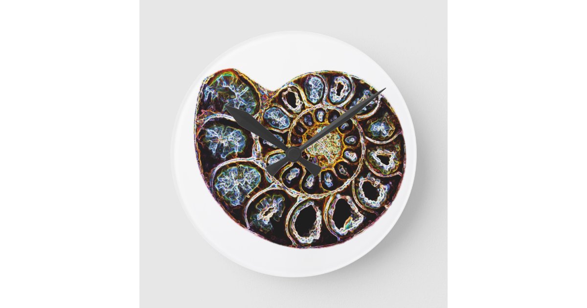 Ammonite Round Clock | Zazzle