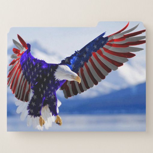 An American Eagle File Folder | Zazzle