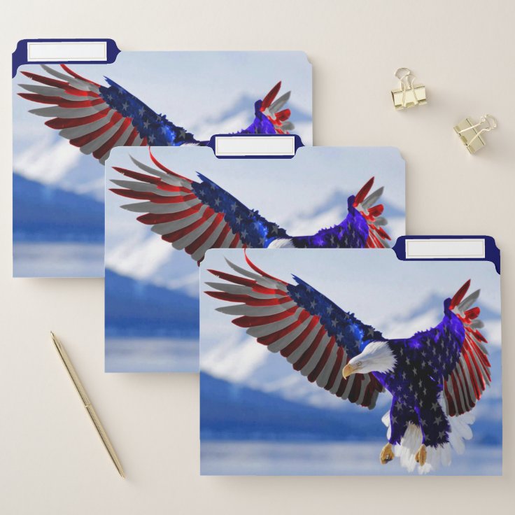 An American Eagle File Folder | Zazzle