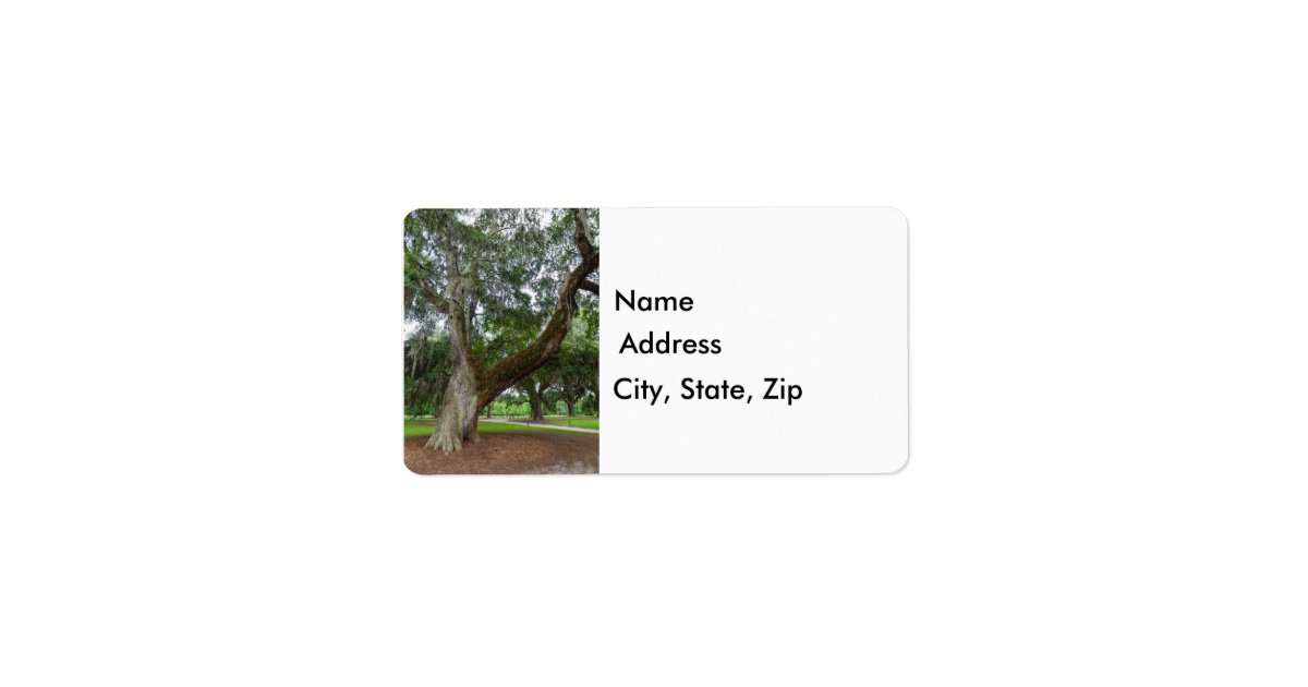 An Old Oak Tree Label | Zazzle